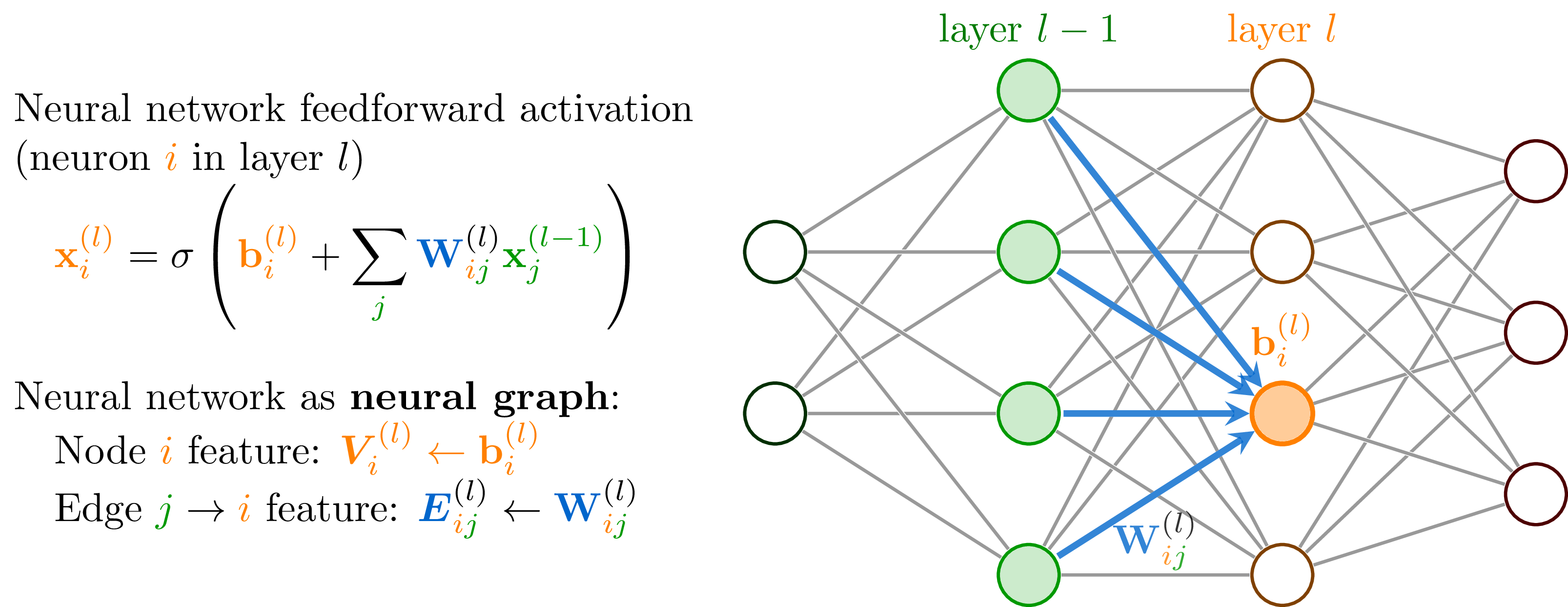 Graph Neural Networks for Learning Equivariant Representations of Neural Networks | Hugo ...